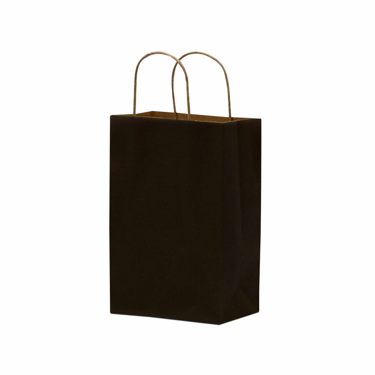 6x3x9 Extra Small Black Paper Bags with Handles – Prime Line Retail